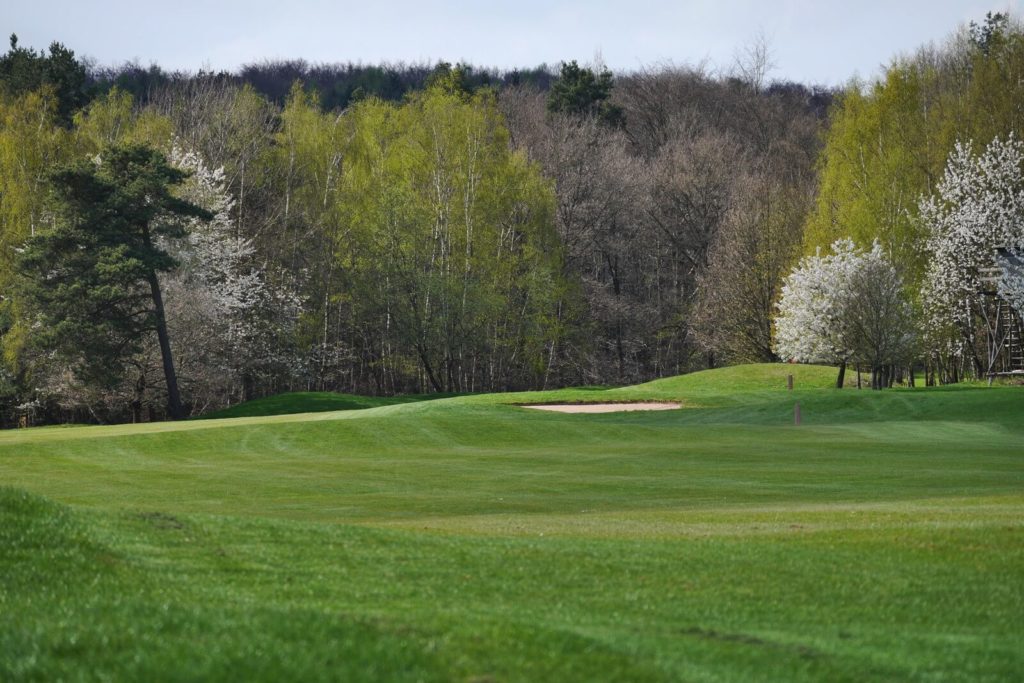 Galerie – GC Barbarossa